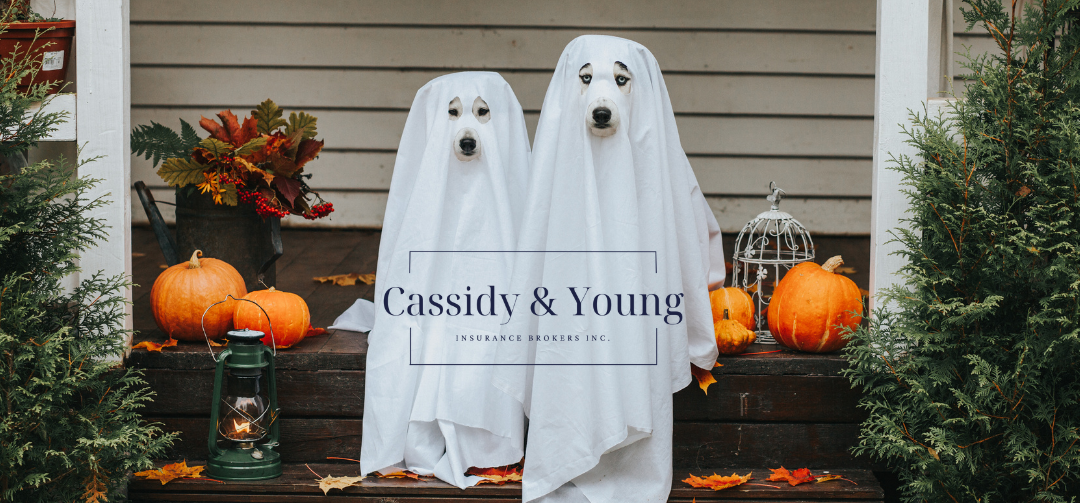 How to Avoid Halloween Insurance Nightmares - Cassidy & Young Insurance ...